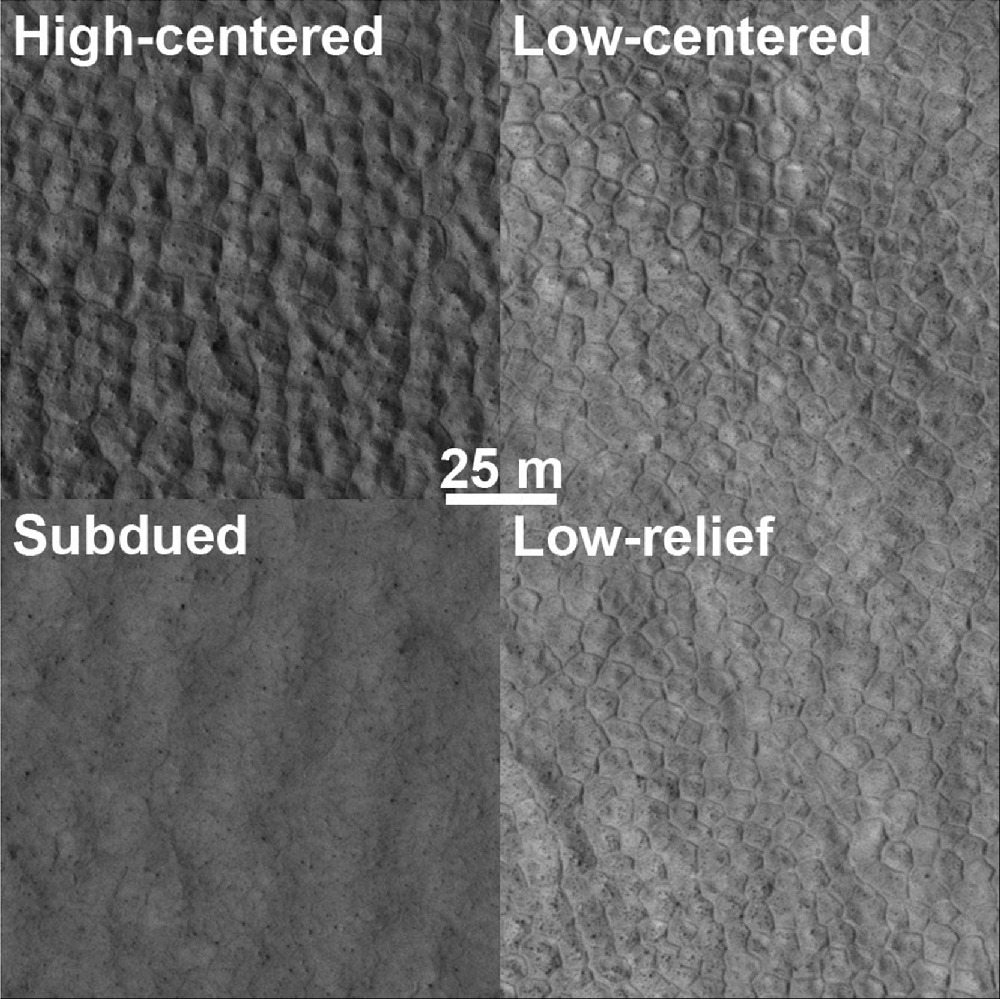 Figure 6 from