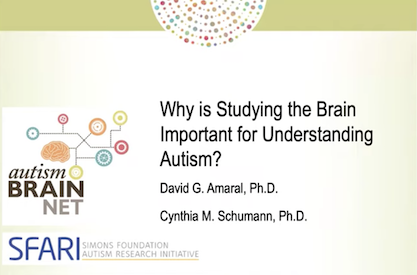 Autism BrainNetWhy is studying the brain important for understanding ...