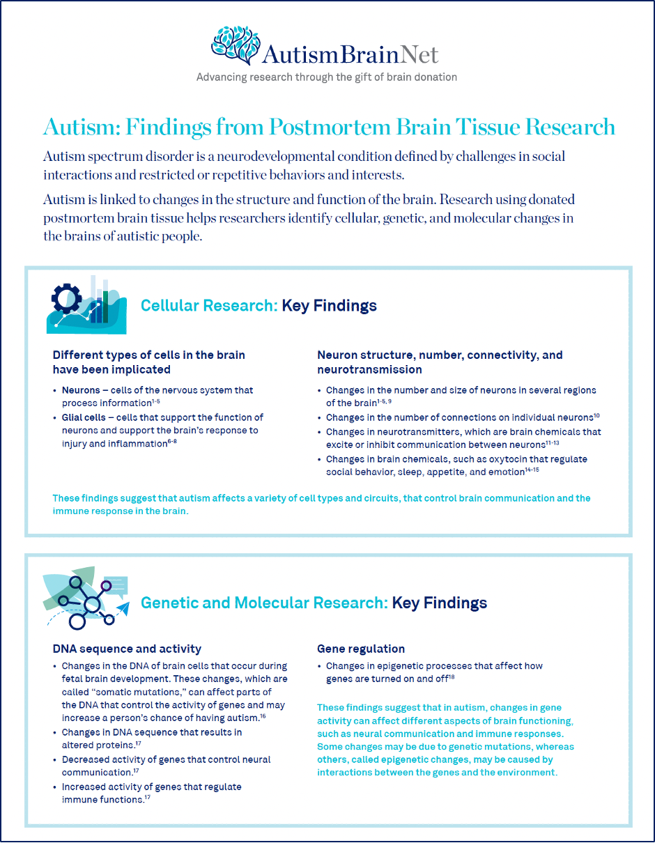Autism BrainNetAutism: Findings from Postmortem Brain Tissue Research ...