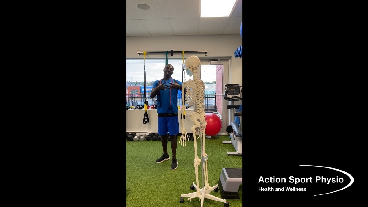 Video: Row Exercise for Your Back | Action Sport Physio