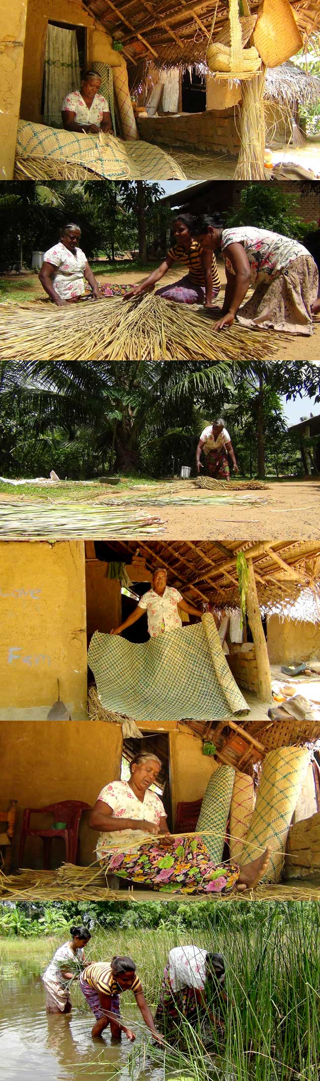 රඹාවැව පැදුරු කර්මාන්තයට කුමක් සිදු වෙයිද