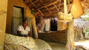 රඹාවැව පැදුරු කර්මාන්තයට කුමක් සිදු වෙයිද