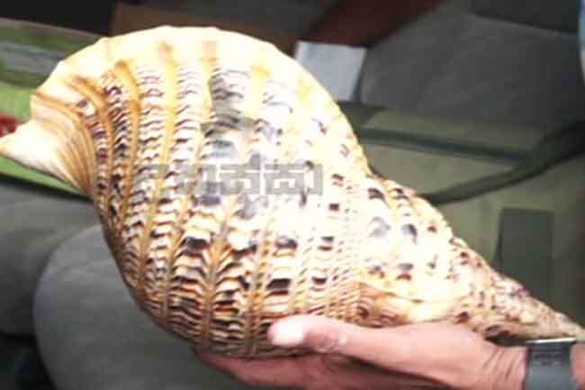 උකුසු ඇසට හසු වු තවත් වංචනික ක්‍රියාවක්