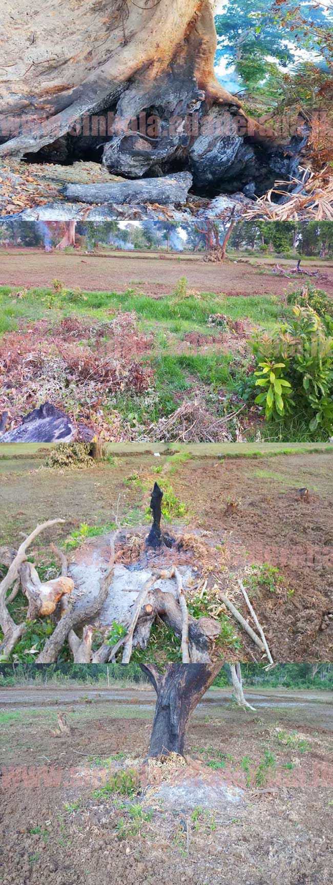 වැනසීම..