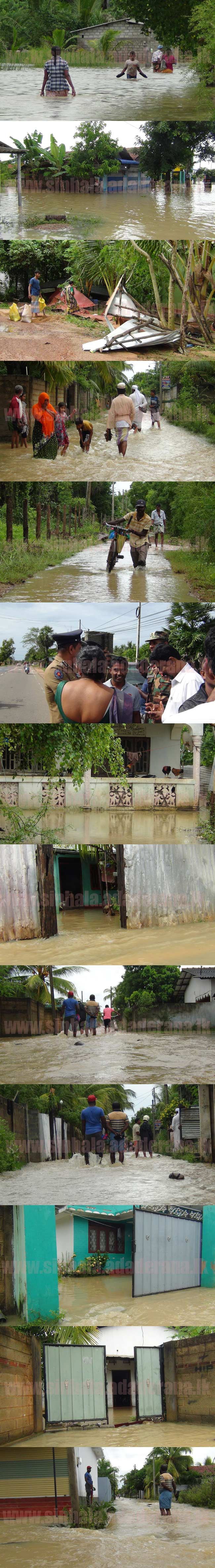 වැස්ස-ජීවිත...