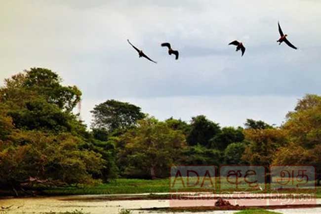 ලෝක තෙත්බිම් දිනය අද