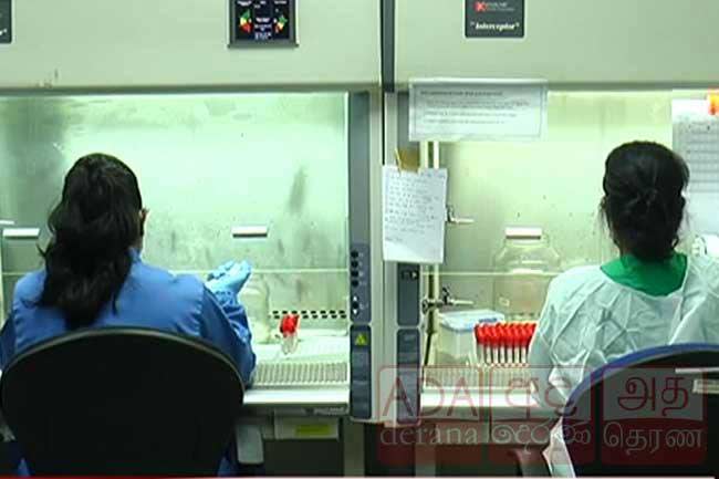 බ්‍රිතාන්‍ය වෛරස ප්‍රභේදය සීඝ්‍රයෙන් පැතිරිය හැකියි - වෛද්‍ය ...