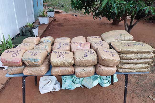 මිලියන 27ක කේරළ ගංජා