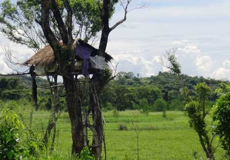 හේන් ගොවිතැන..