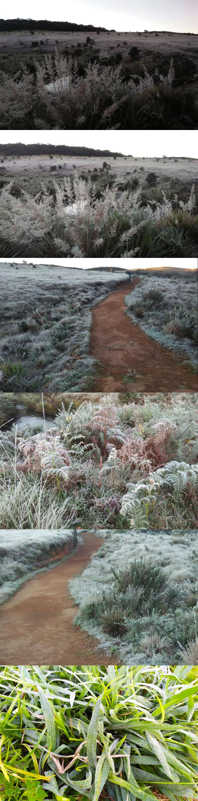 හිමිදිරියේ අසිරිය...