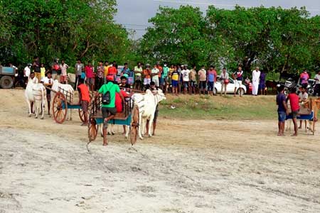 තිරික්කල් තරගයක්...
