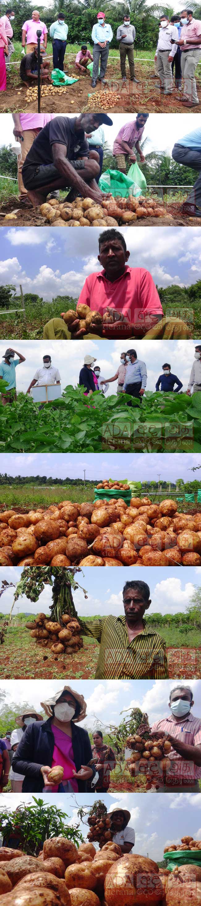 අස්වැන්න...