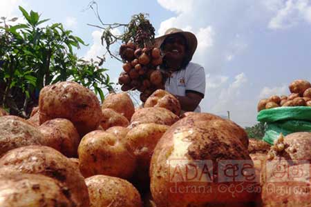 අස්වැන්න...
