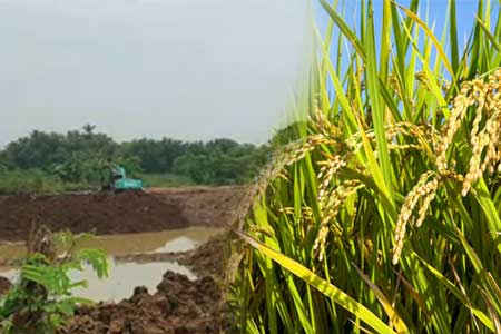 සරුසාර කුඹුරු ඉඩම්වලත් වැලි කැණීම්