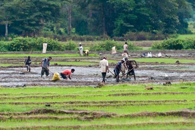 ගොවීන්ට නව විශ්‍රාම වැටුප් ක්‍රමවේදයක්