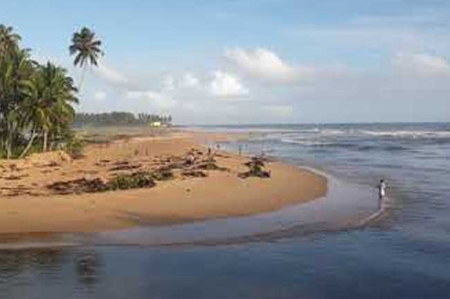 ගිංතොට සසලකළ ඛේදවාචකය