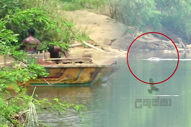 උකුසු ඇසට හසුවූ තවත් ජාවාරමක්