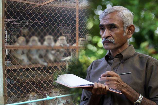 චීනයේ ඉල්ලීම ගැන පරිසරවේදීන් අවධානයෙන්