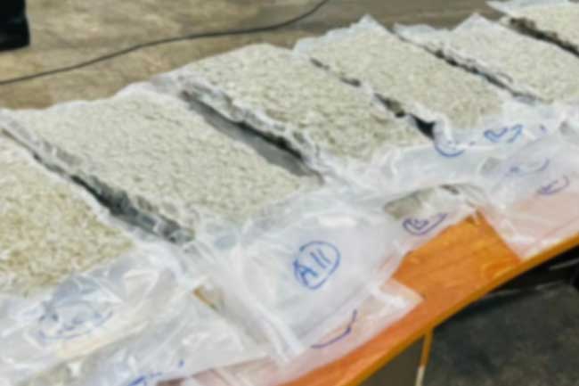 කැනඩාවෙන් එවූ මත්ද්‍රව්‍ය රේගු භාරයට