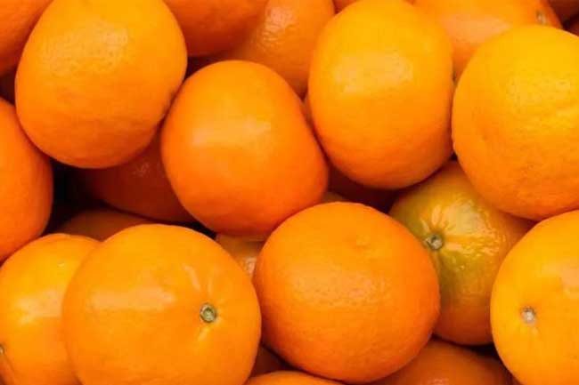 දොඩම් ආනයනය අඩුකිරීමට අලුත් වැඩක්