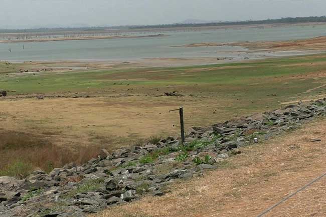 සිඳී ගිය උඩවලවට ලැබුණු සුබ ආරංචිය