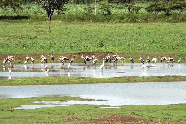 ආක්‍රමණය ...