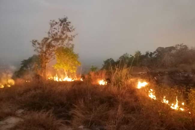 තවත් අක්කර 7ක් ගින්නෙන් විනාශයි