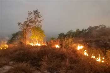 තවත් අක්කර 7ක් ගින්නෙන් විනාශයි