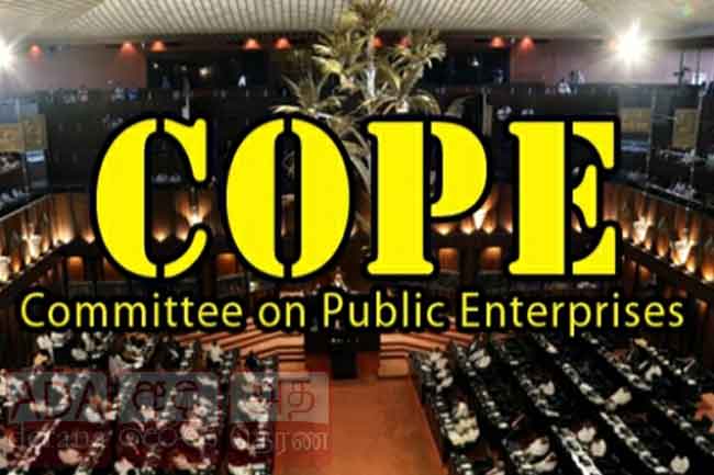 ආයතන කිහිපයක් කෝප් කමිටුවට