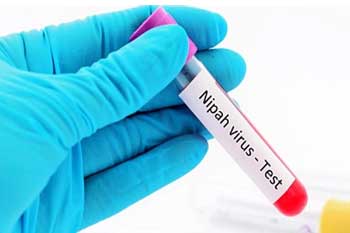 ඉන්දියාවේ බියකරු වෛරස් රෝගයක්