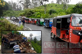 පාරක් සම්පූර්ණයෙන් අවහිර කළ දර ලොරිය