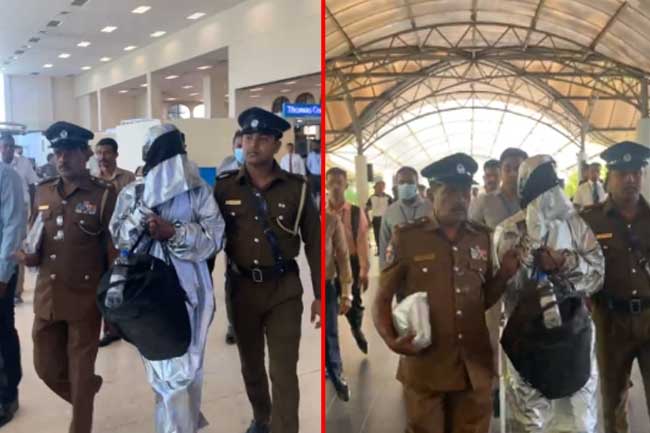 ලොකු පැටී දිවයිනට රැගෙන එයි