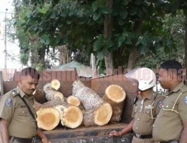 පොලීසිය දැකලා බුරුත කොටයි ට්‍රැක්ටරෙයි මඟදාලා දුවලා