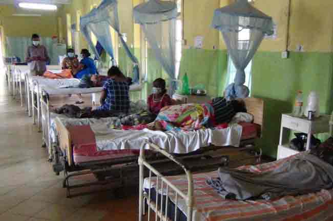 13 பேர் குளவி கொட்டுக்கு இலக்காகி வைத்தியசாலையில் அனுமதி