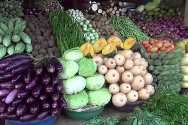 மரக்கறி உற்பத்தியில் பெரும் பாதிப்பு