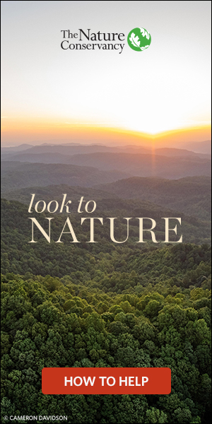 Adbeat :: Advertiser Ads | nature.org