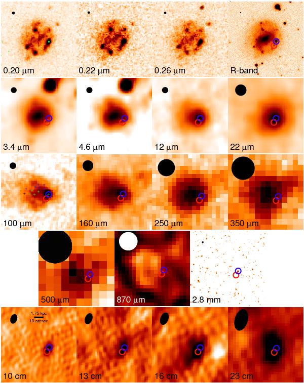 Spatially-resolved dust properties of the GRB 980425 host galaxy - NASA/ADS
