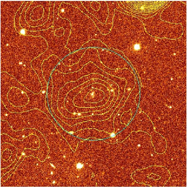 The 2XMMi/SDSS Galaxy Cluster Survey. III. Clusters associated with ...