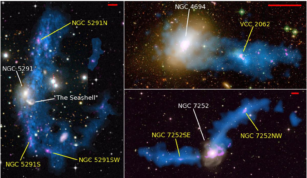Gas dynamics in tidal dwarf galaxies: Disc formation at z = 0 - NASA/ADS