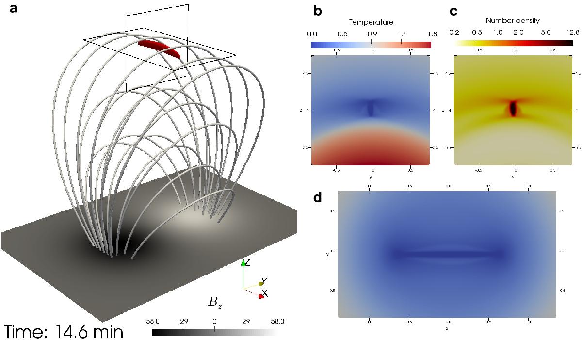 Coronal rain in magnetic bipolar weak fields - ADS