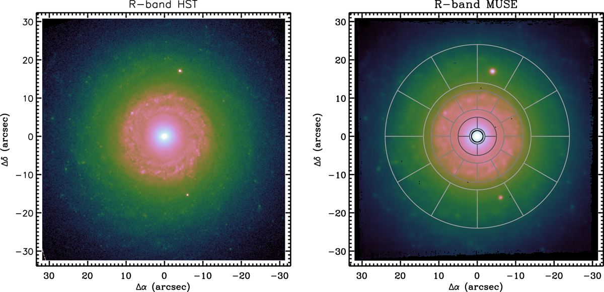 MUSE observations of the counter-rotating nuclear ring in NGC 7742 ...