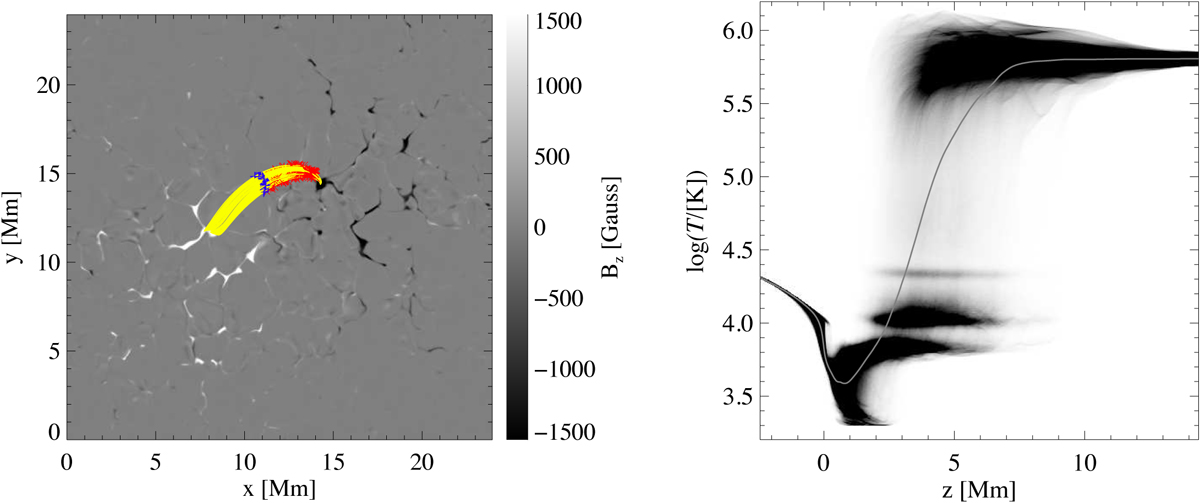 Disentangling flows in the solar transition region - NASA/ADS