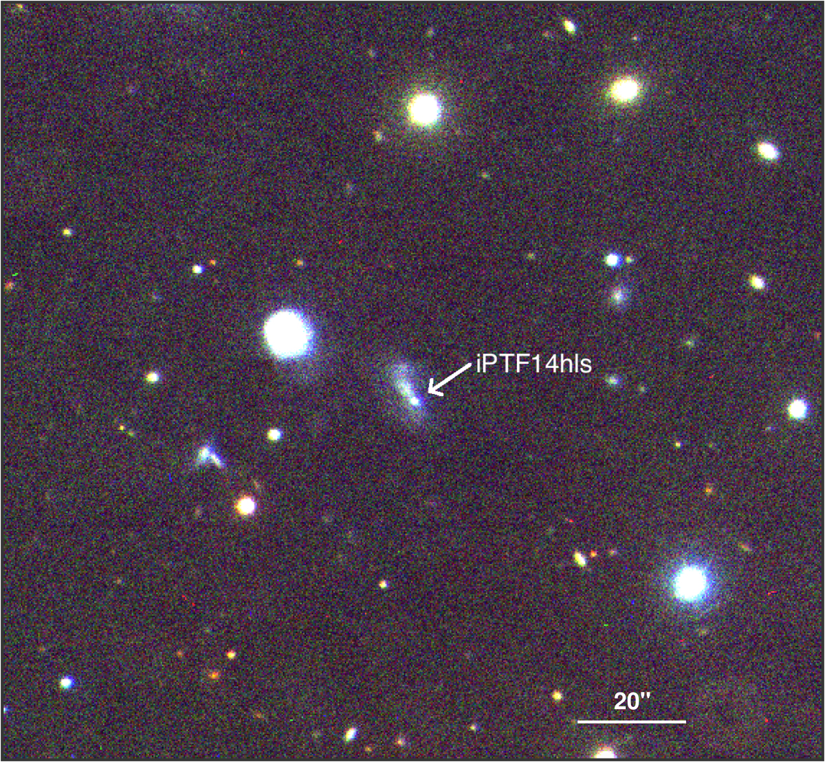 Late-time observations of the extraordinary Type II supernova iPTF14hls ...