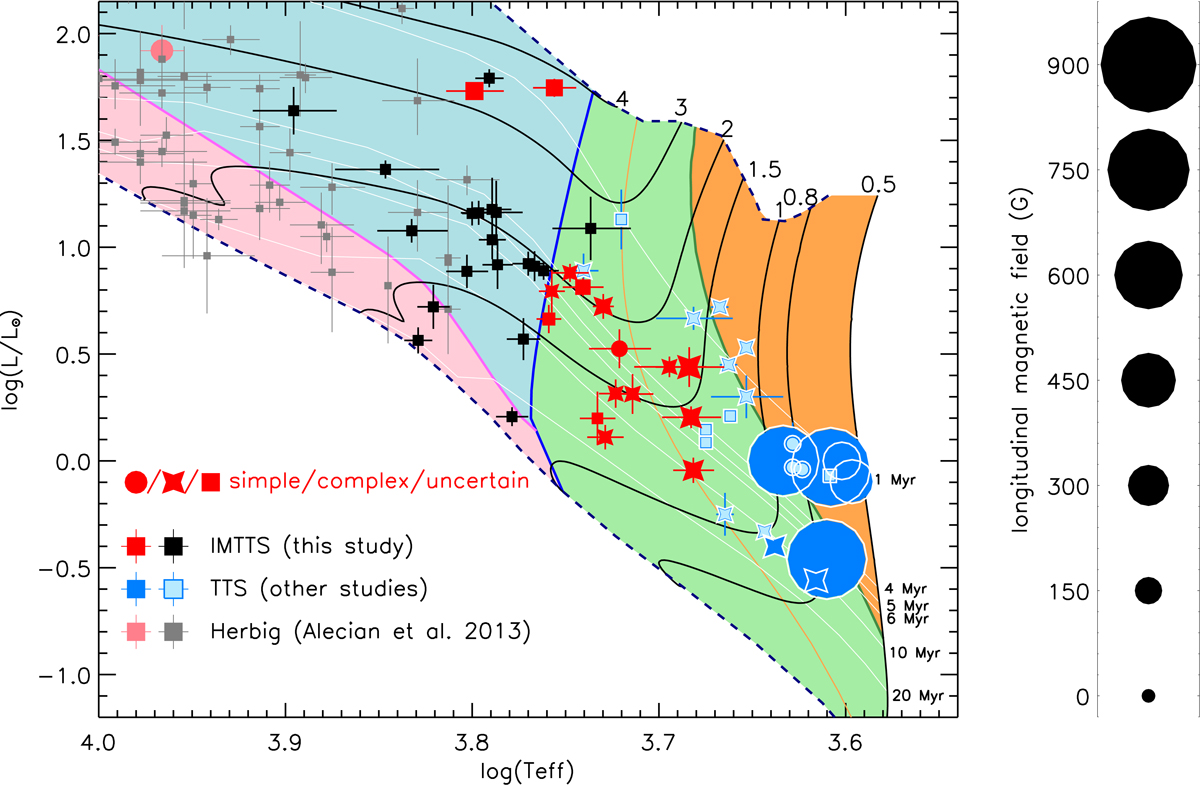 Magnetic fields of intermediate-mass T Tauri stars. I. Magnetic ...