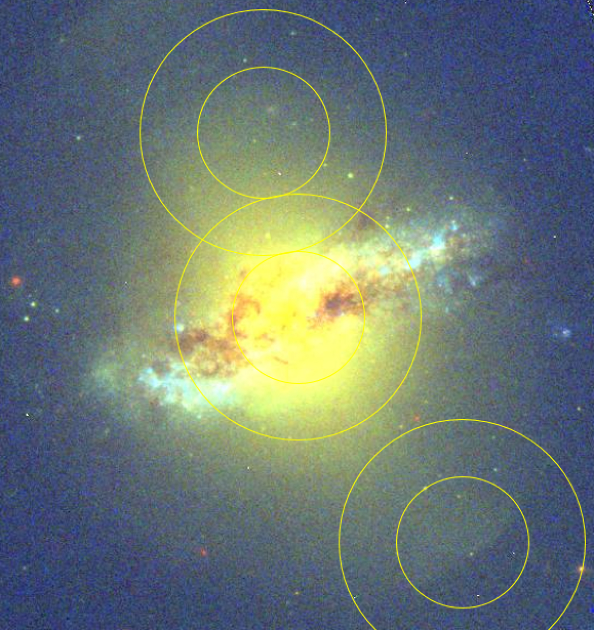 Molecular gas content of shell galaxies - NASA/ADS