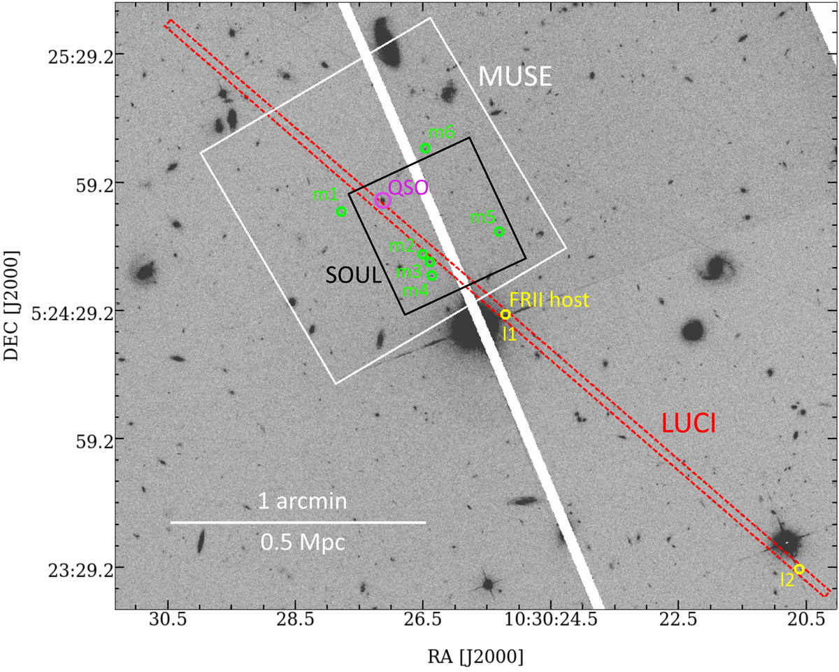 Discovery of a galaxy overdensity around a powerful, heavily obscured ...