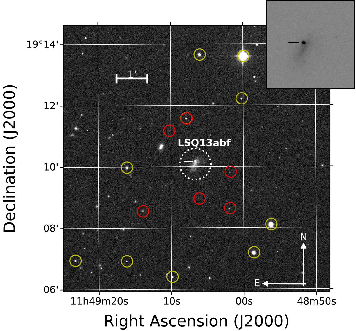 The Carnegie Supernova Project II. Early observations and progenitor ...