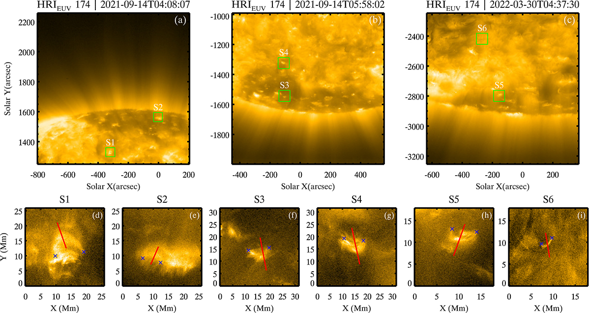 Statistical investigation of decayless oscillations in small-scale ...