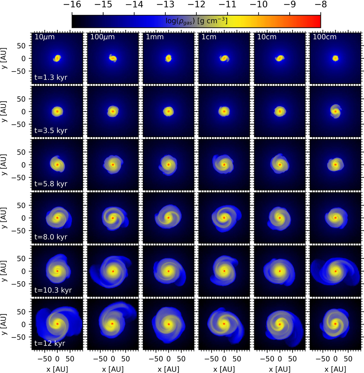 Dust enrichment and growth in the earliest stages of protoplanetary ...