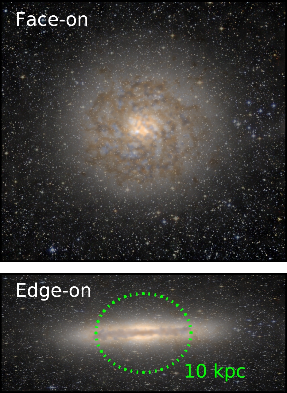 The innate origin of radial and vertical gradients in a simulated ...